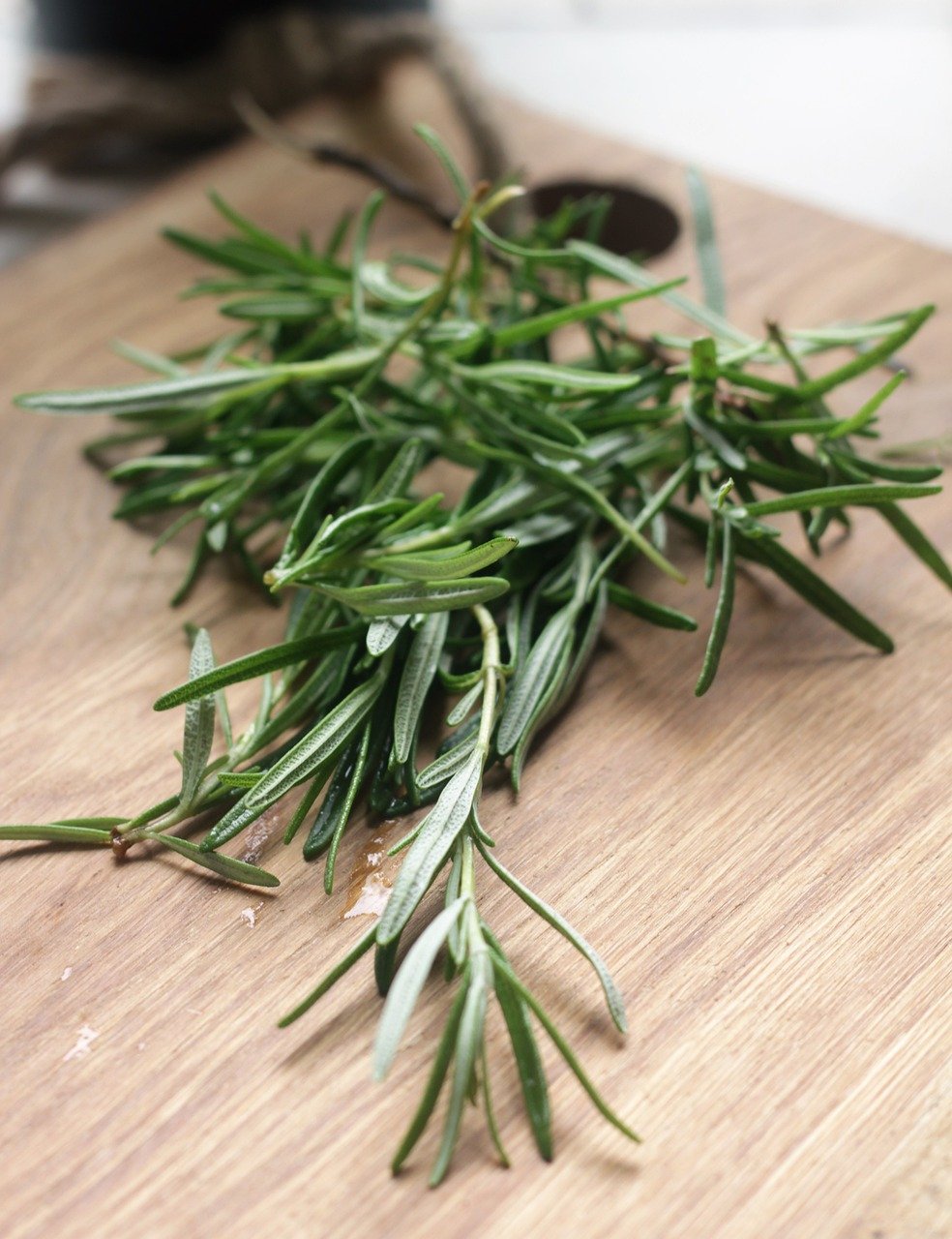 Rosemary Cultivation Guide | Cultivers